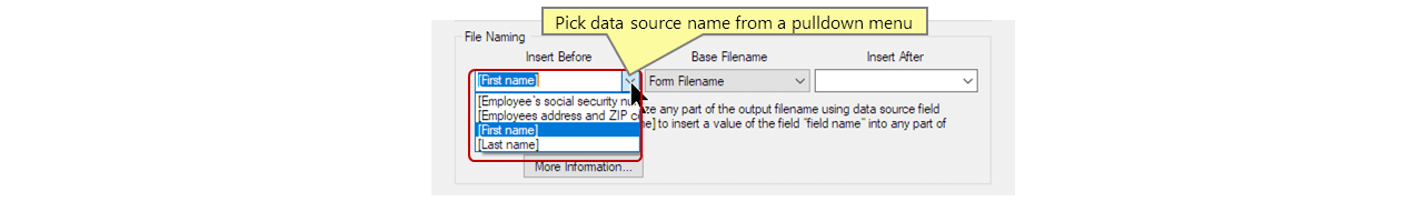 Naming output PDF files using text from data fields